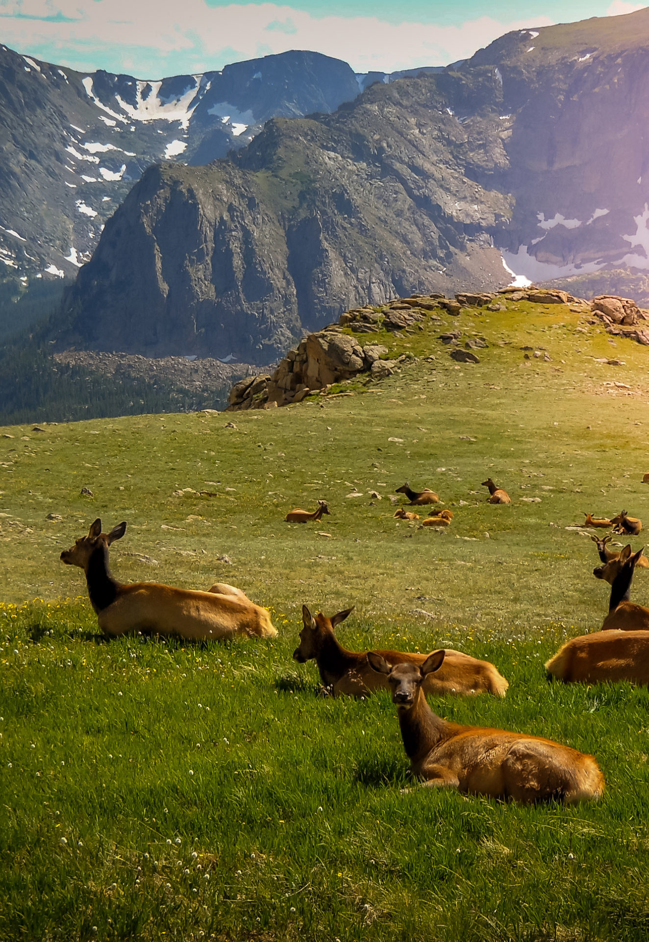 Colorado State Assembly – The Original Colorado Government
